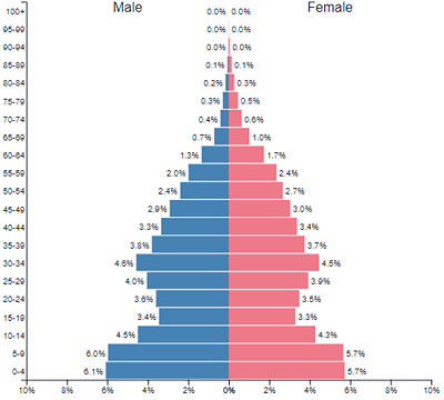 What is the largest age group?