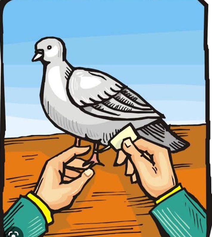 In The Earlier Days People Were Using Animals For Sending Mails Most