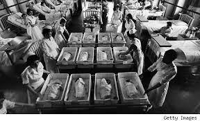 Baby Boom During The Fifties