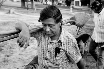 1959 : Union leader and labor organizer, Cesar Chavez begin advocacy ...