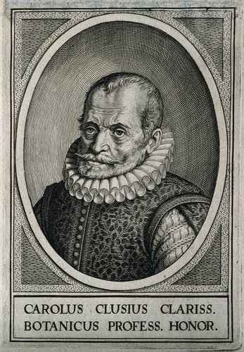 Carolus Clusius
