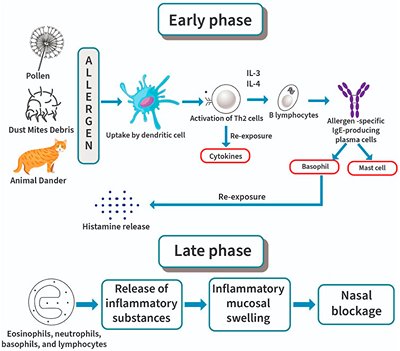 Review from Pharmacotherapy 1