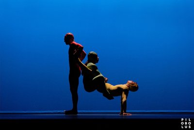 Modern rendition of the original piece "Pilobolus"