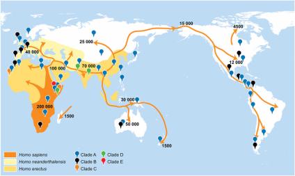 Map of Humanity's Movements Over the Ages http://www.nature.com ...