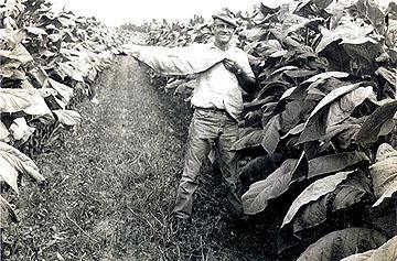 1815-25 Competition with western farm areas began to force New England ...