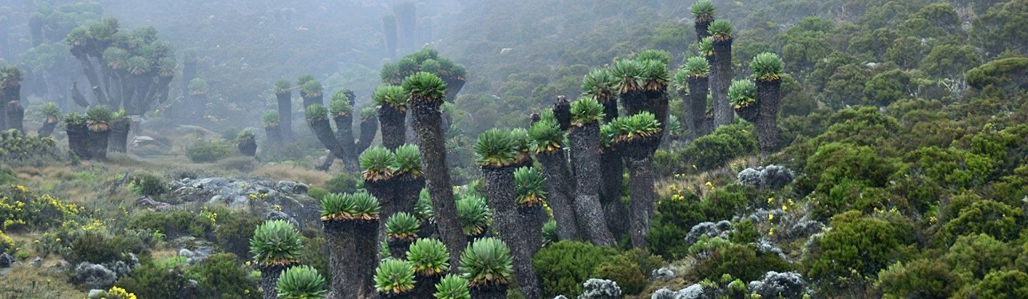 To print the story please do so via the link in the story toolbar.