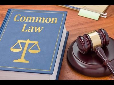 2. La formación del common law (1066-1485)