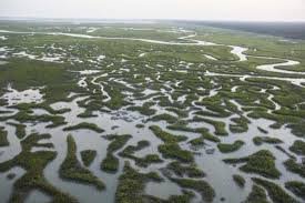 The Coastal Zone has Marshlands.