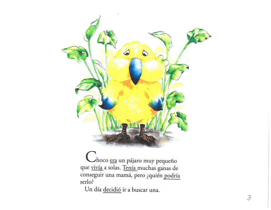 Choco was a very small bird that lived alone.