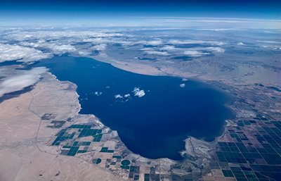 Salton city