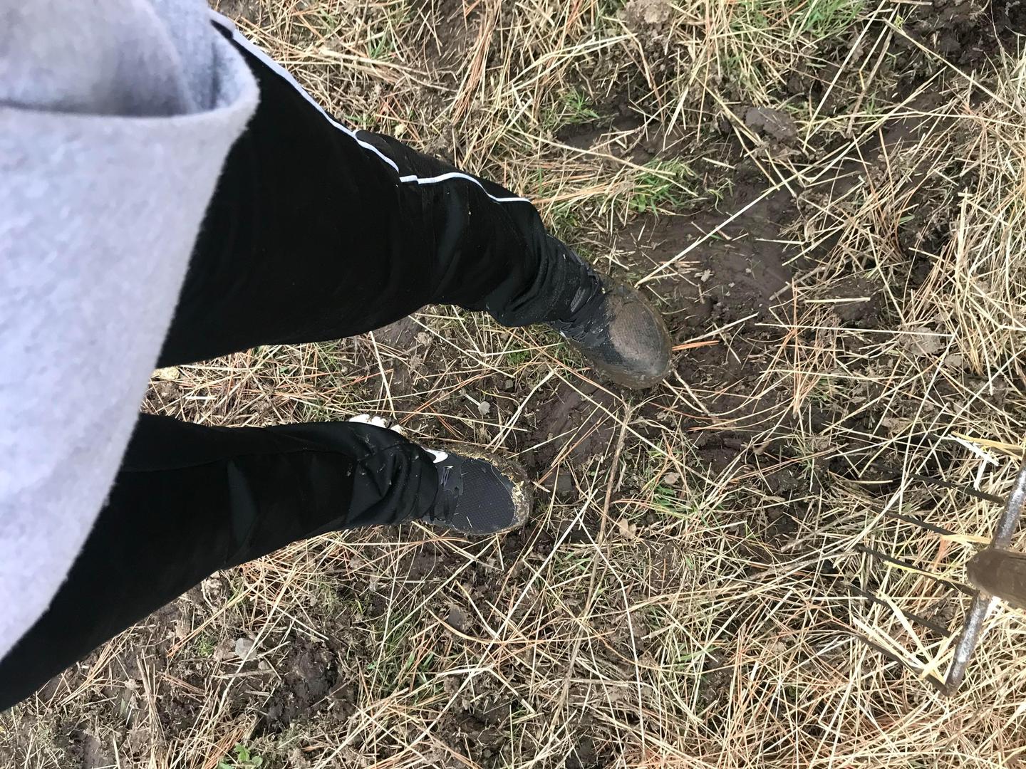 Horse poo-poo shoes :D