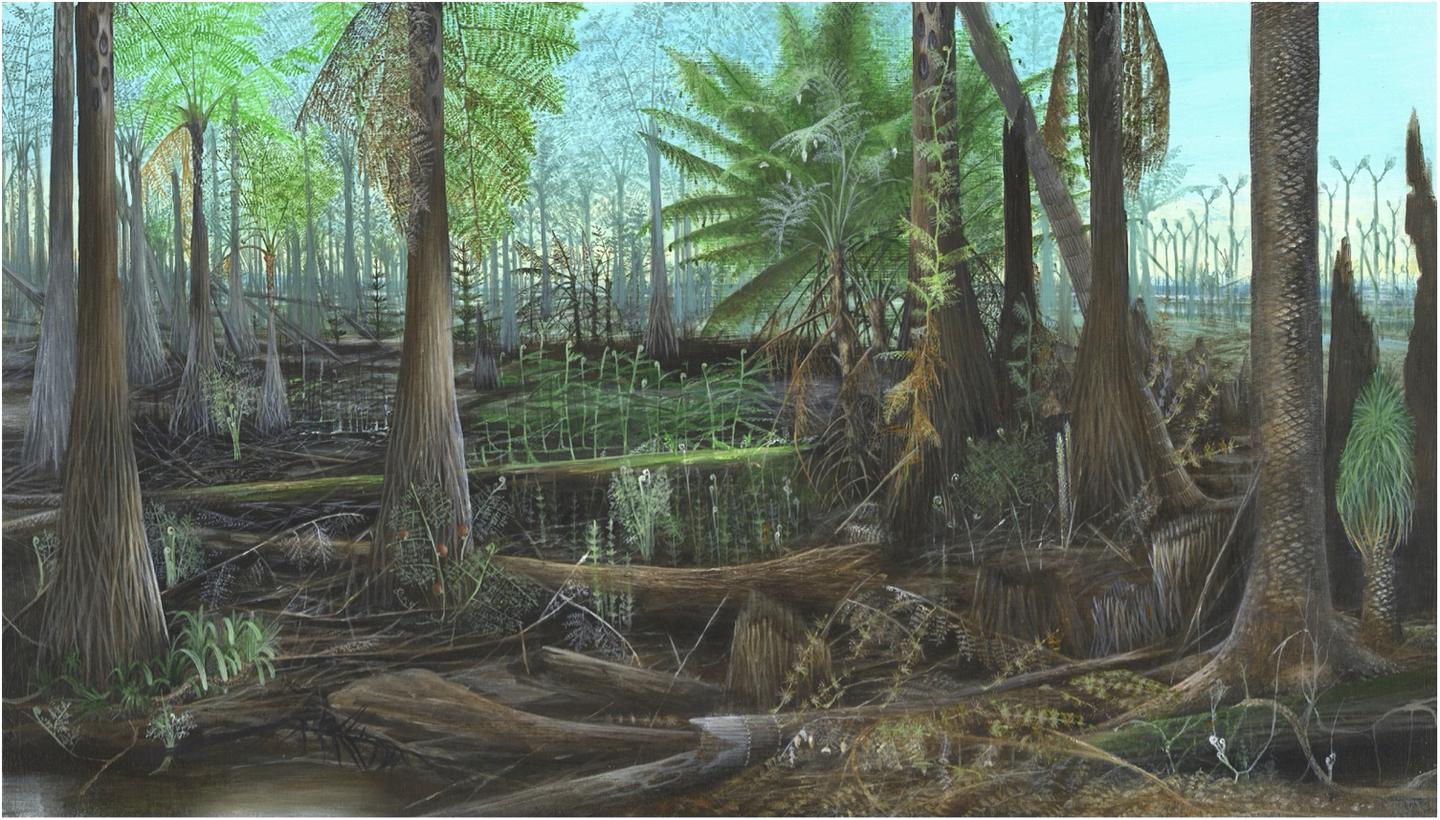 Phanerozoic: The Phanerozoic Eon is the current geologic eon in the ...