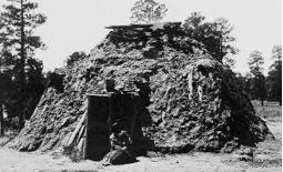 At a young age Kii Yazhi is taken from his home to an institution ...