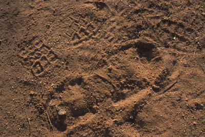 ...can be linked to the soil found at the crime scene.