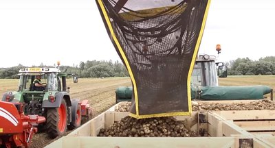 Then they are transferred into boxes