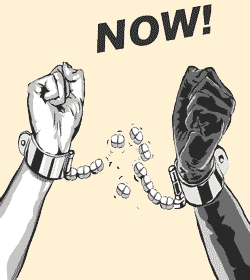 13th Amendment For Kids