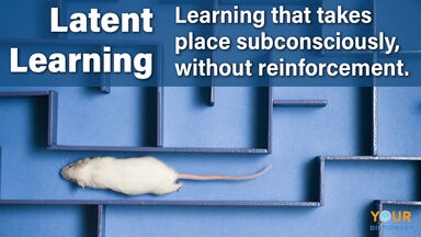 Latent Learning
