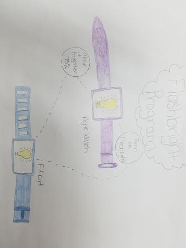 Name: Flashbright Program