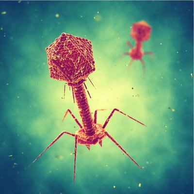 This is a Phage