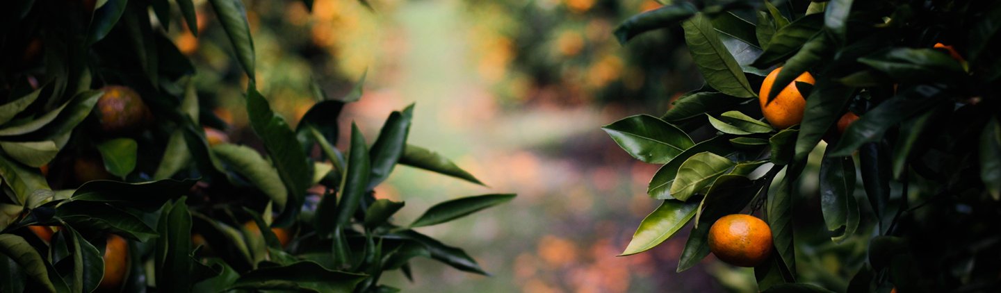 AW