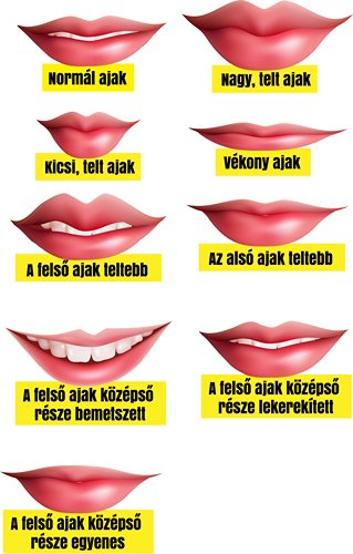 4. Szájforma