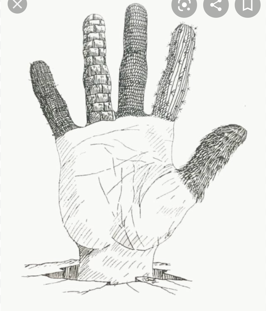 Trace around your hand on a piece of 9x12 drawing paper then fill it in ...