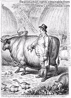 1755-selective breeding -robert Bakewell