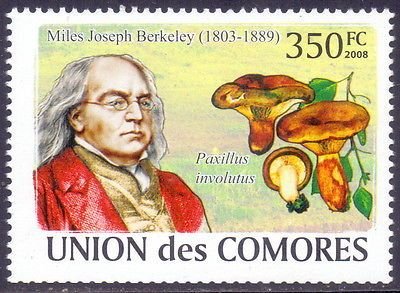 Miles Joseph Berkeley (1803 - 1889)