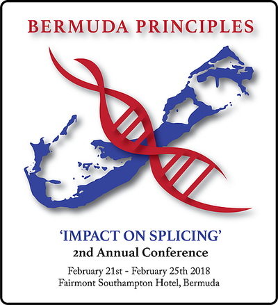 Bermuda Principle (1996)