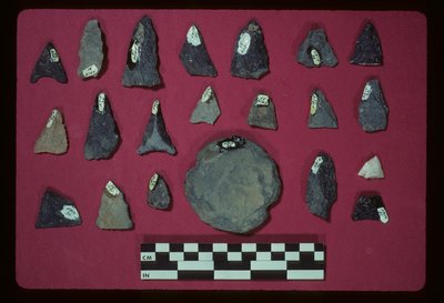 Projectile points Source: Maryland Archaeological Conservation Lab