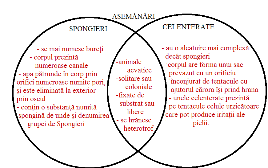 Analizați asemănările și deosebirile dintre cele două grupe de animale ...