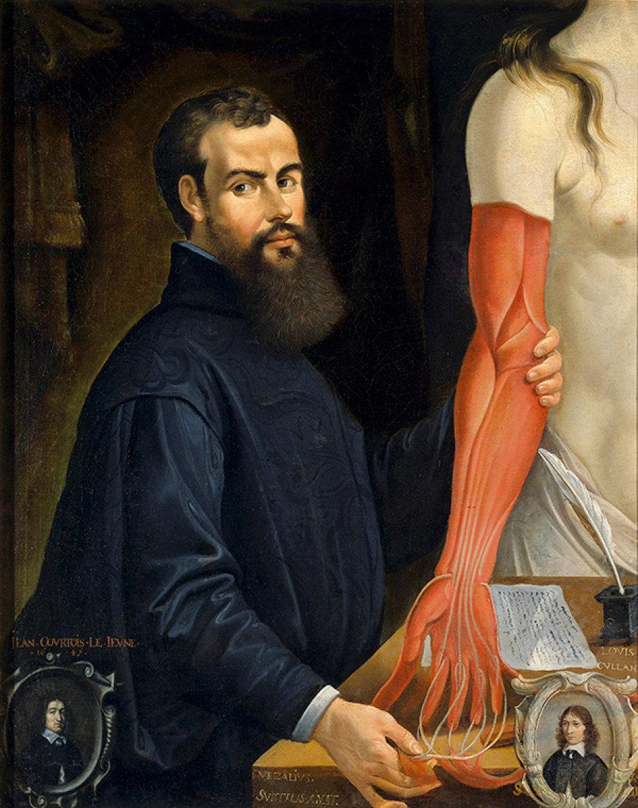 Andreas Vesalius was the first person to correctly identify all the ...