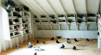 This is what Yanek had to live in.