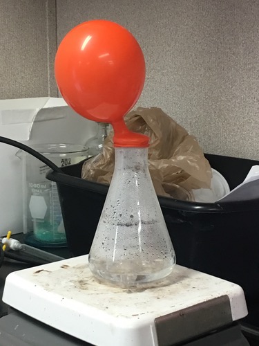 ER Flask and Balloon Step 1: The flask was filled with water and a ...