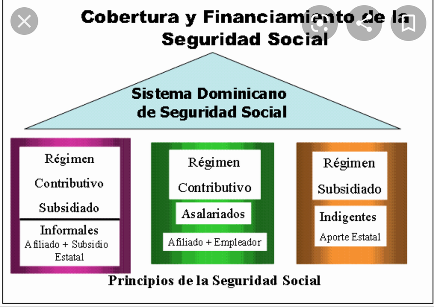 El Sistema Dominicano de Seguridad Social (SDSS) se regirá por los ...