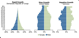 Zero Population Growth: Stable population with equal births/deaths.