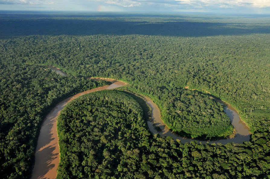 Congo river basin - tropical rain forest