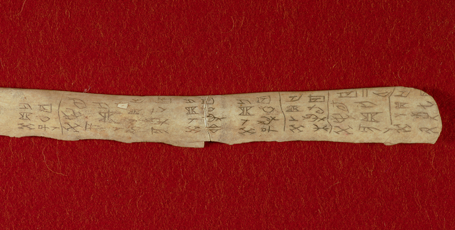 Oracle Bones: Shang Dynasty