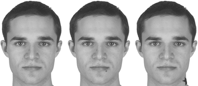 "What Do You Think of My Ink? Assessing the Effects of Body Art on ...