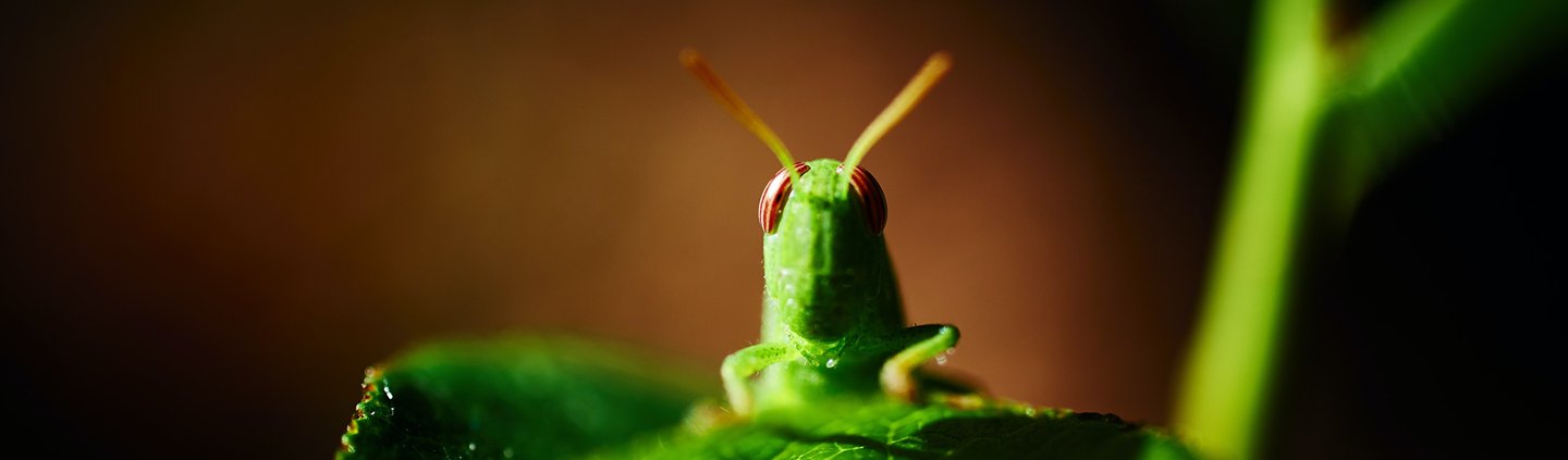 To print the story please do so via the link in the story toolbar.