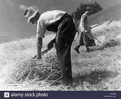 this picture shows agriculture in 1970