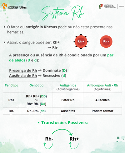 Compartir Comentario