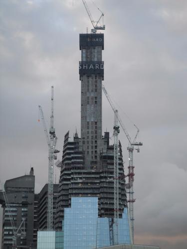 The support beams of the buildings that make up Organelle City