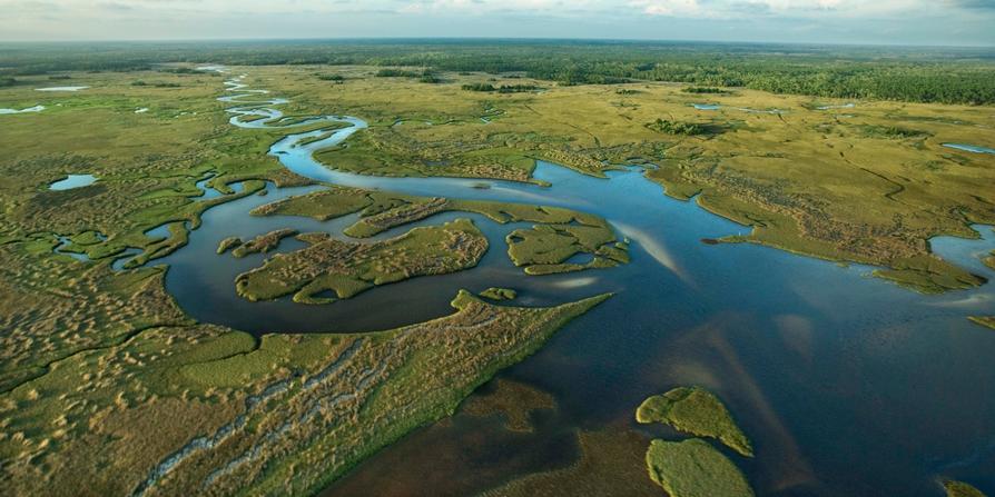 View of the Everglades from above