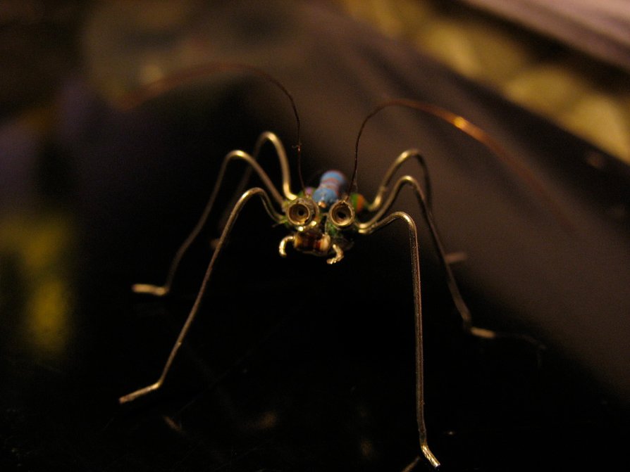 "Computer Bug" by moyix is licensed under CC BY-SA 2.0.