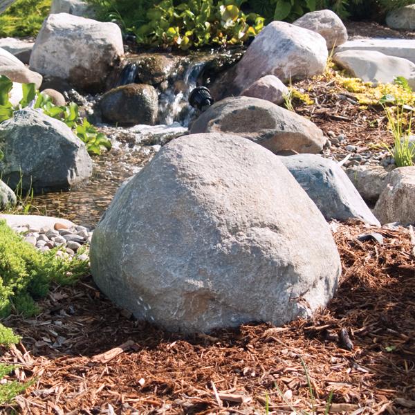 Cole's Ancestor Rock