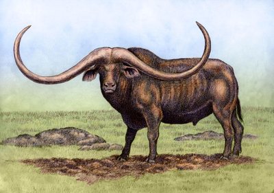 Image credits: https://www.deviantart.com/willemsvdmerwe/art/Syncerus ...