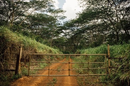 Edward Taniguchi has been on the waiting list for his Hawaiian land ...