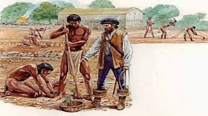 Los hicieron trabajar duro