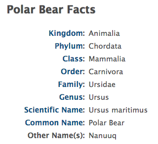 http://a-z-animals.com/animals/polar-bear/